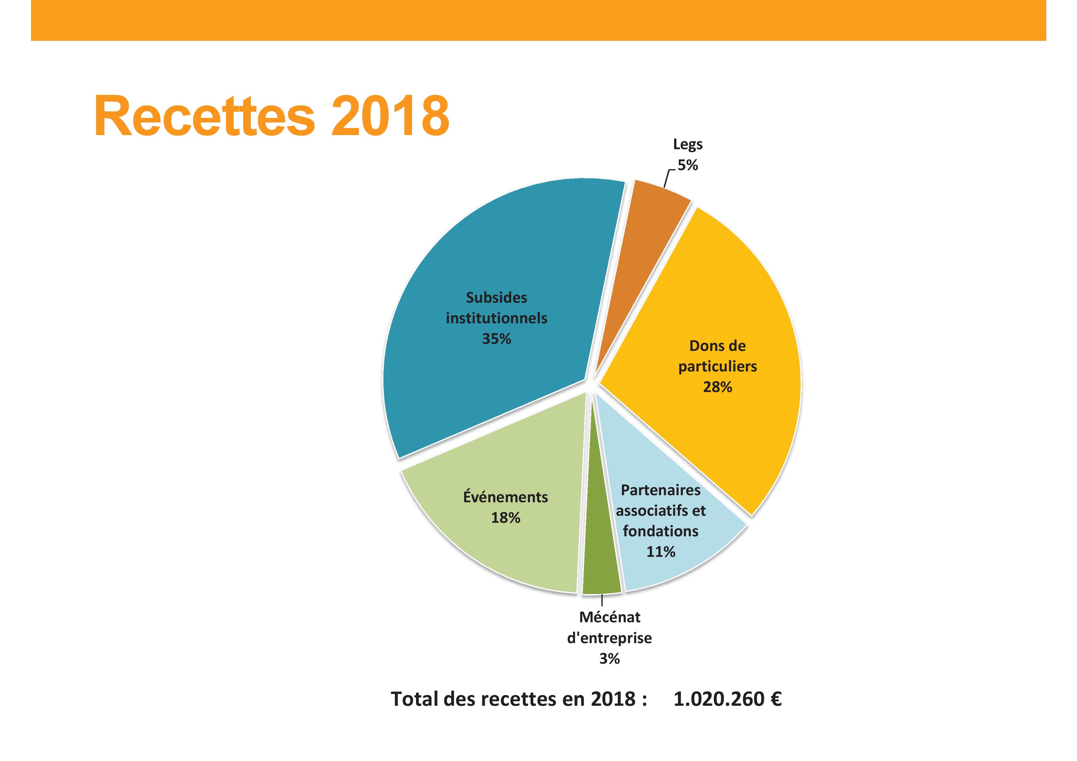 Graphiques dépenses et recettes 2018-page-002 (1) | Chaîne de l’Espoir ...